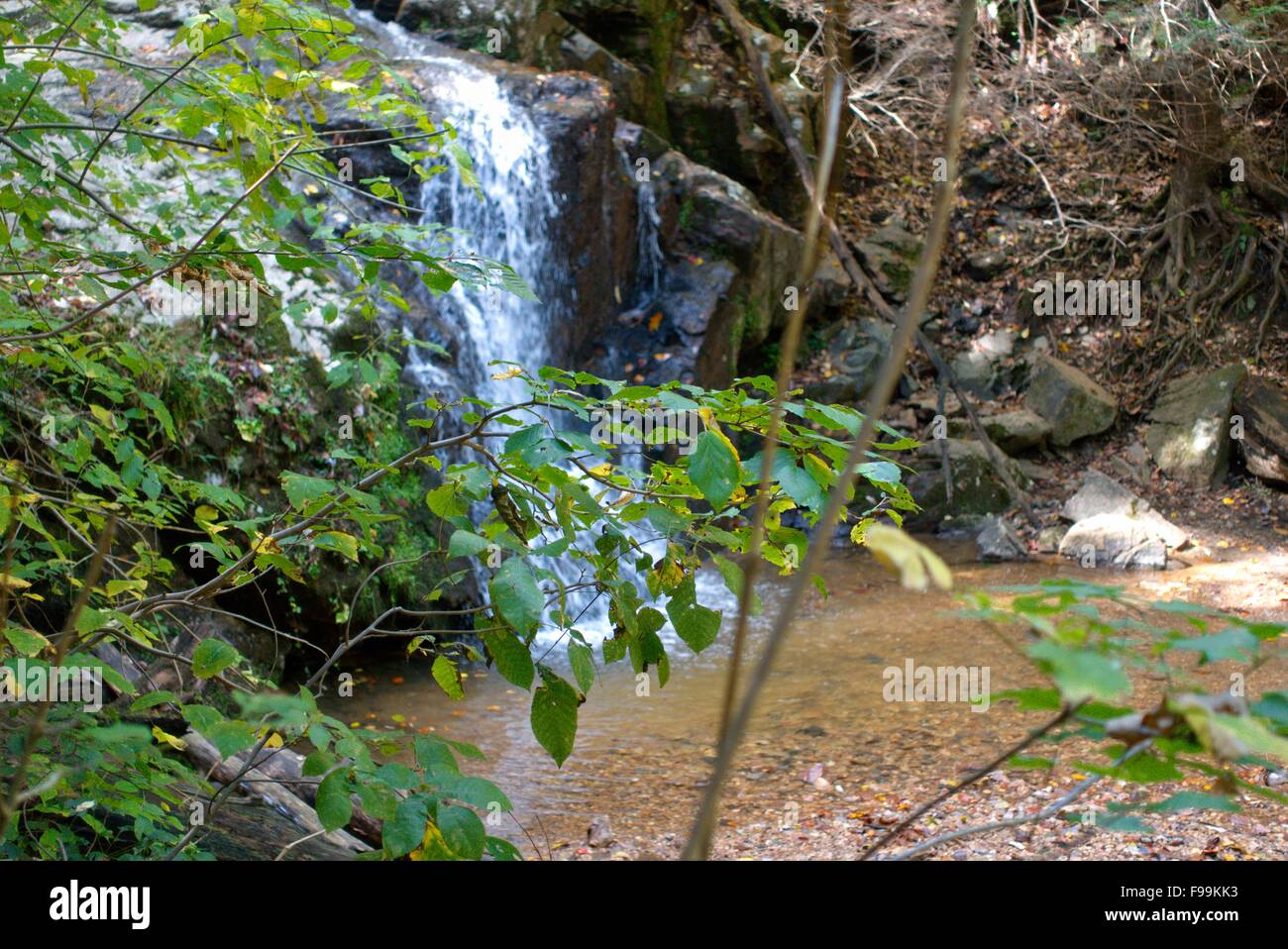Cascade Falls in Patapsco State Park Stock Photo - Alamy