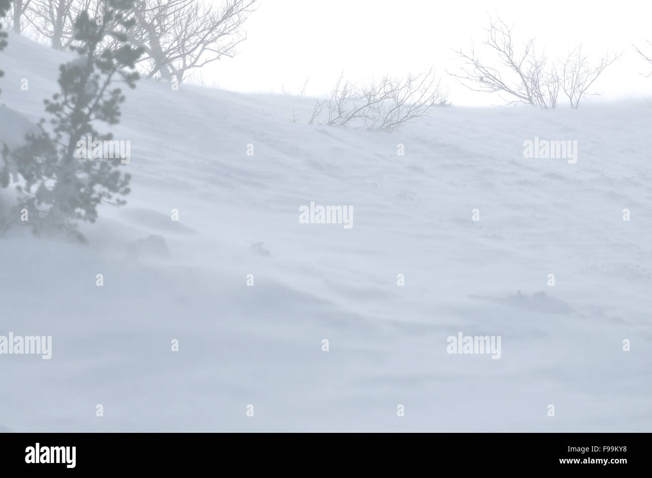 beautiful winter season landscape with ice snow and hard winds Stock ...