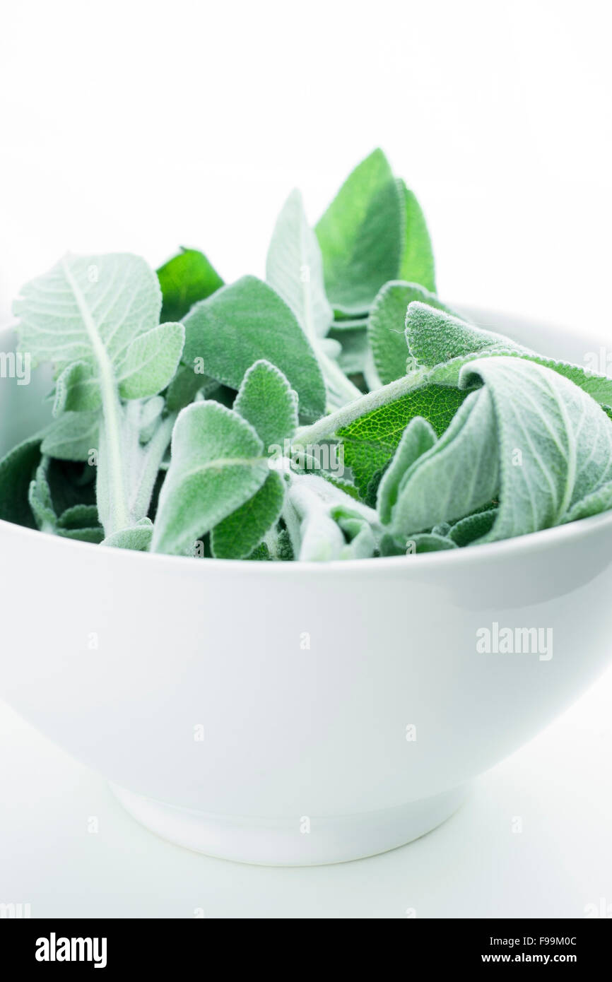 Sage in a bowl Stock Photo - Alamy