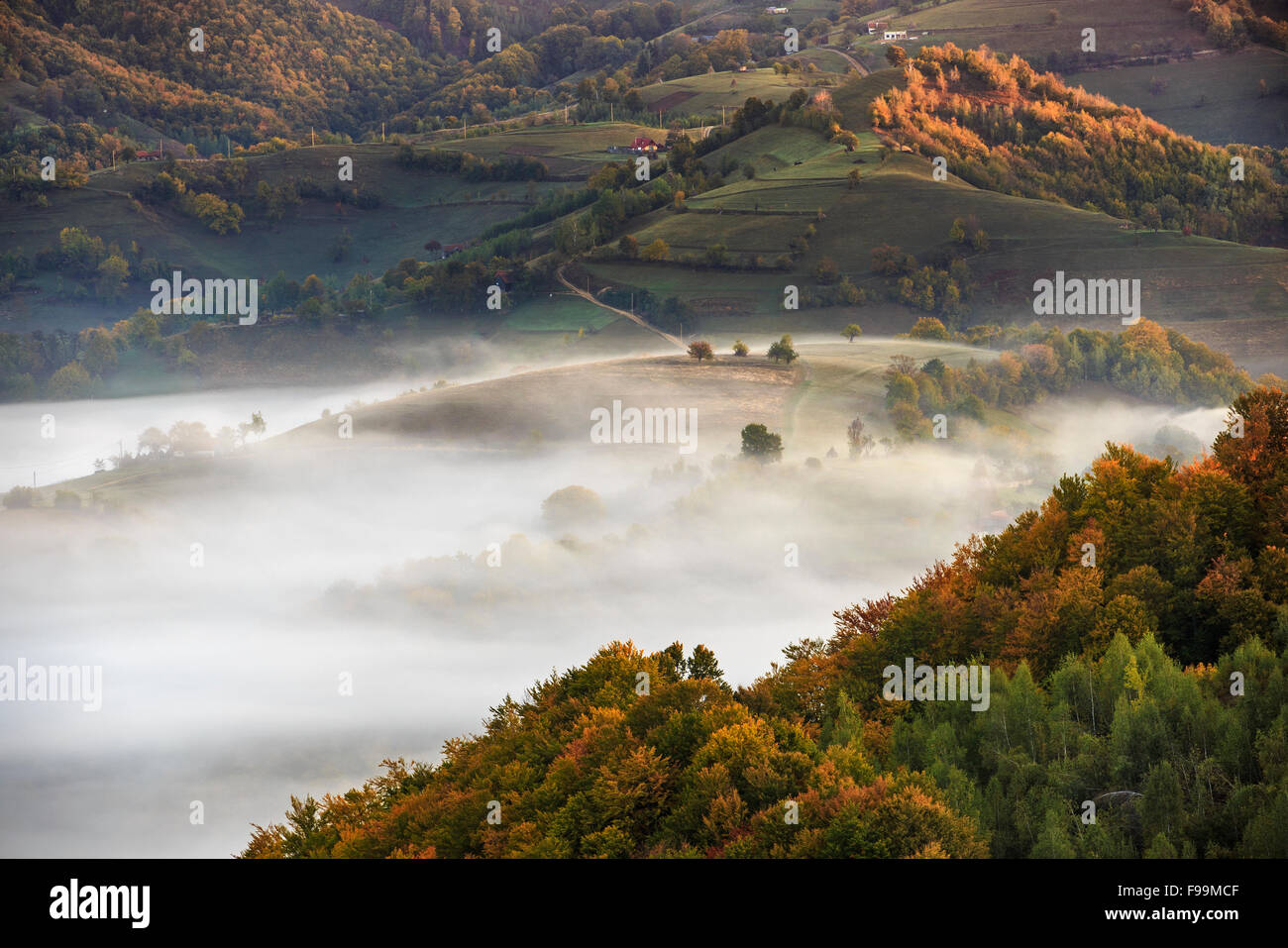 Transylvanian landscape with hills in fog at sunrise Stock Photo - Alamy