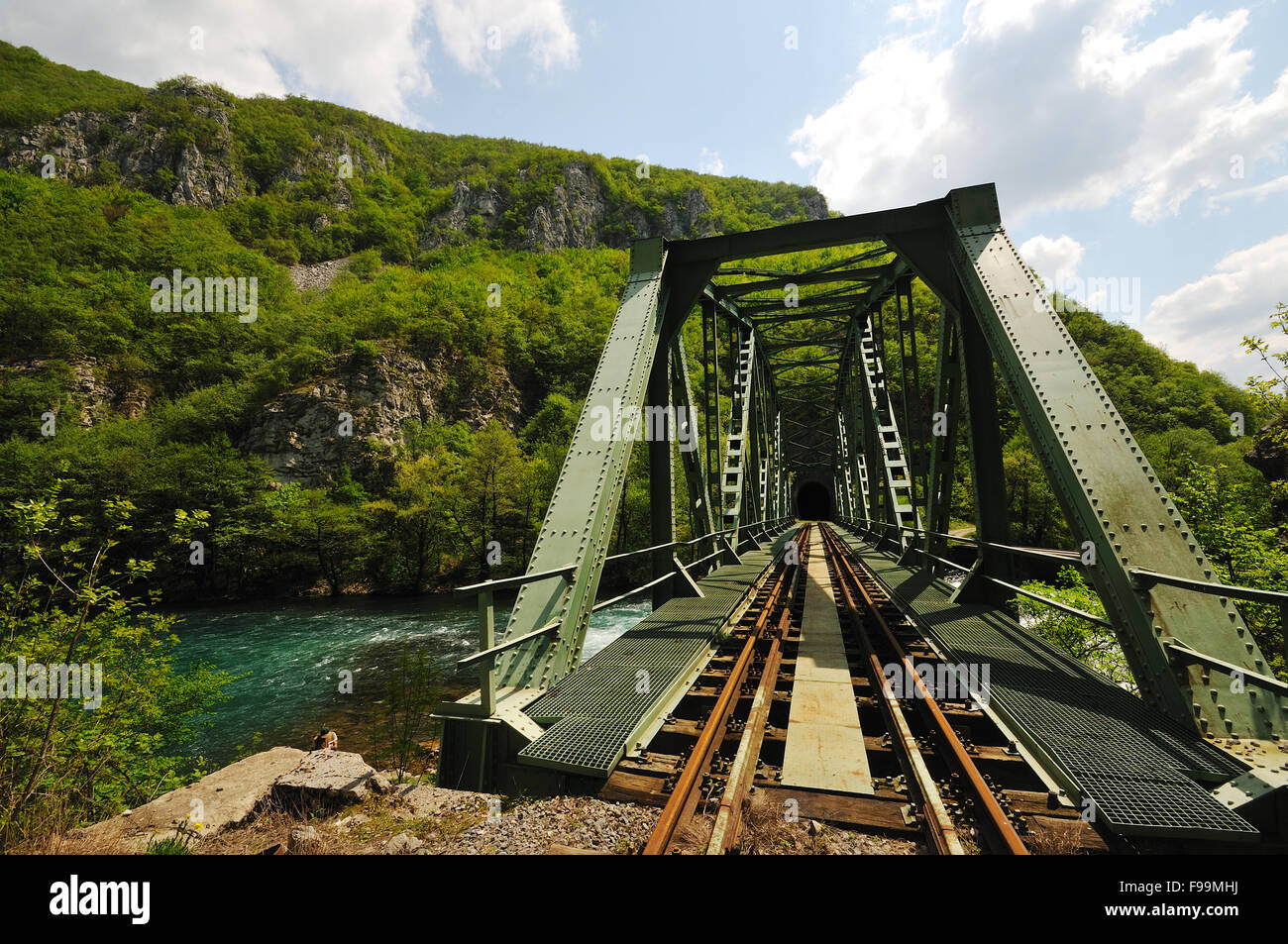 beautiful bridge in nature over wild river Stock Photo - Alamy