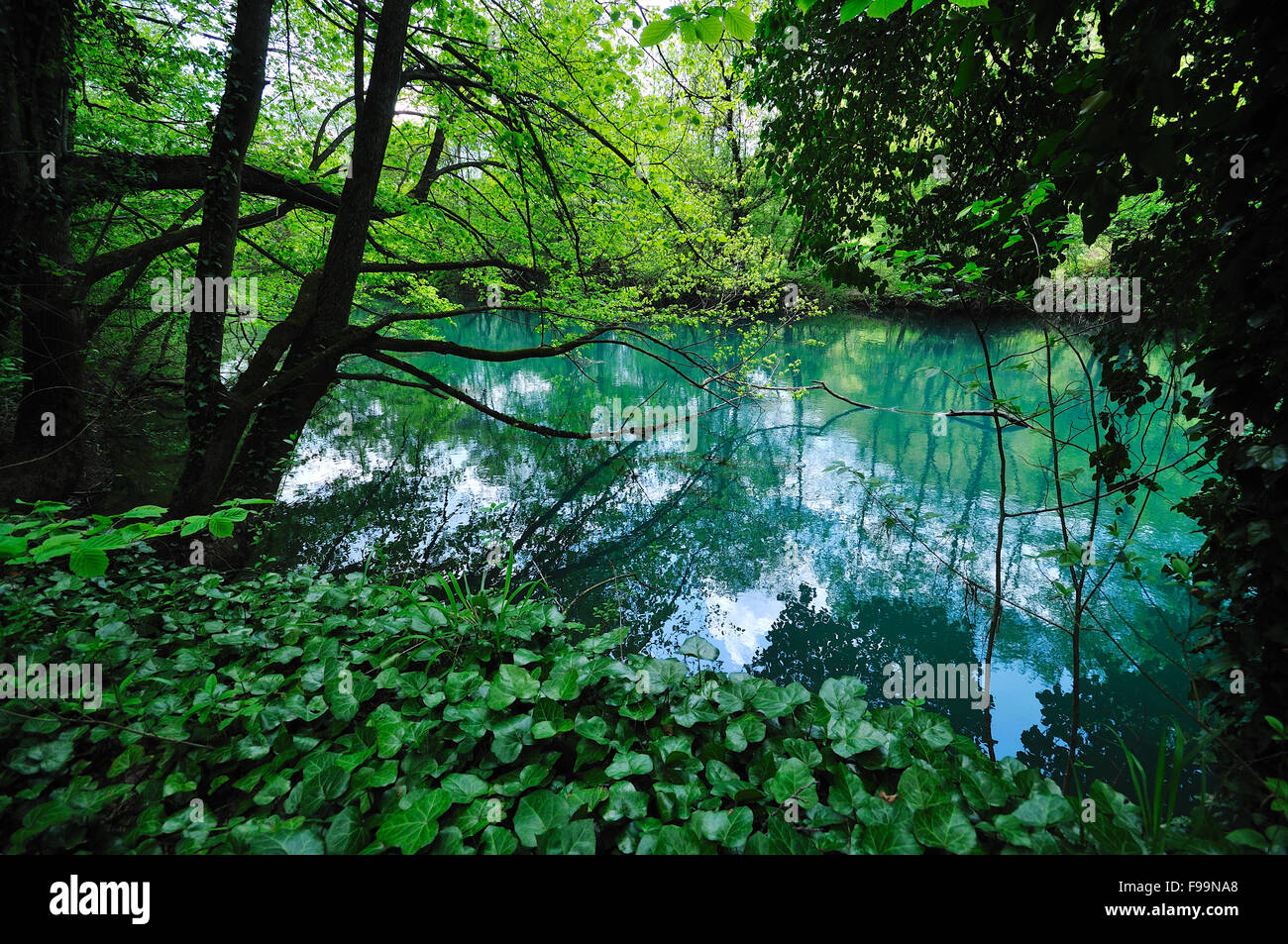 beautiful nature scene with river and waterfall at spring seasson Stock ...
