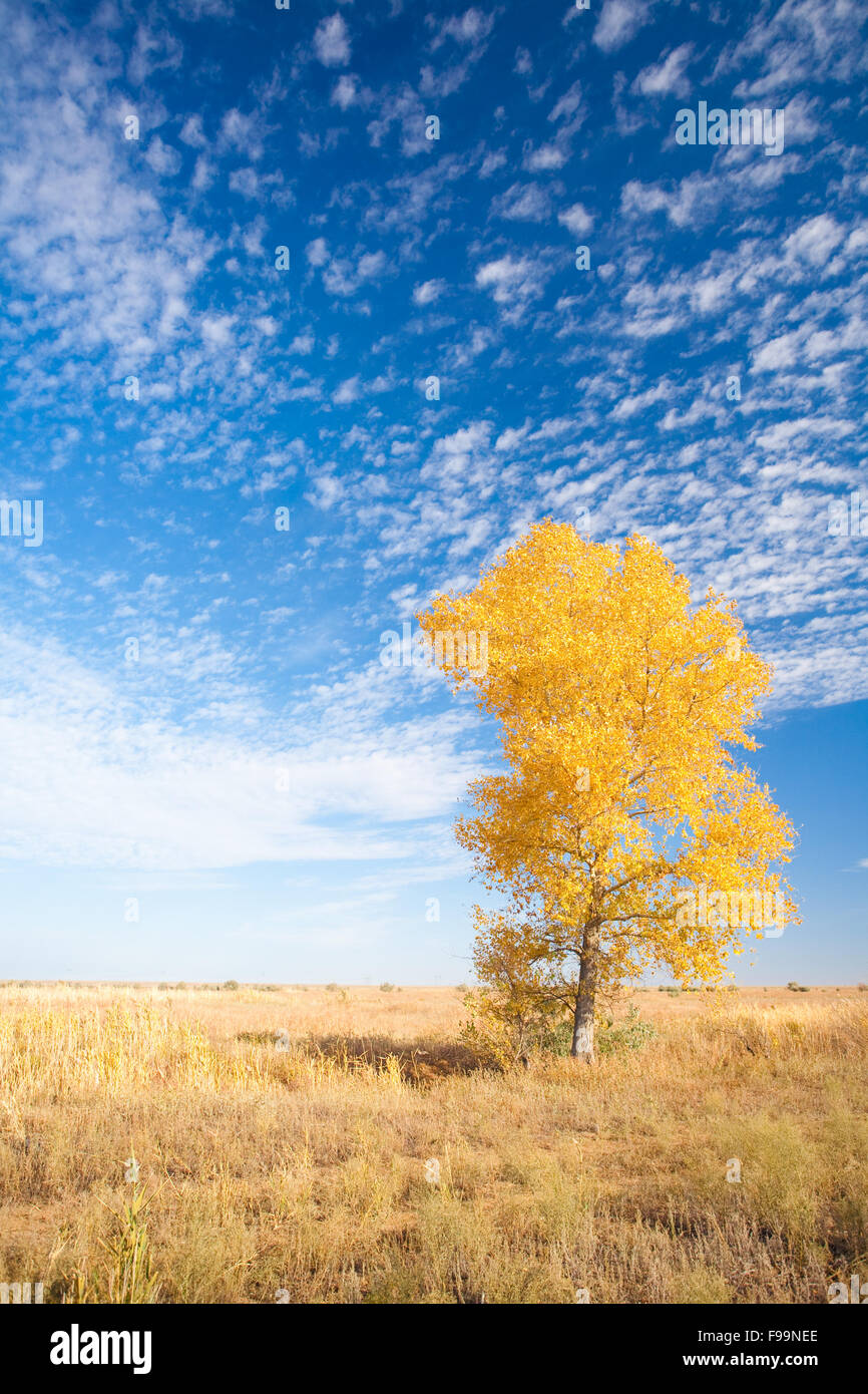 background with yellow tree Stock Photo - Alamy
