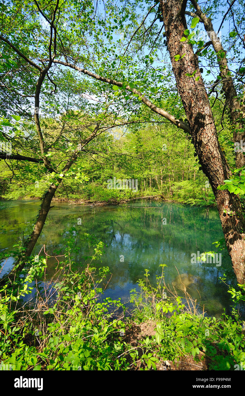 beautiful nature scene with river and waterfall at spring seasson Stock ...