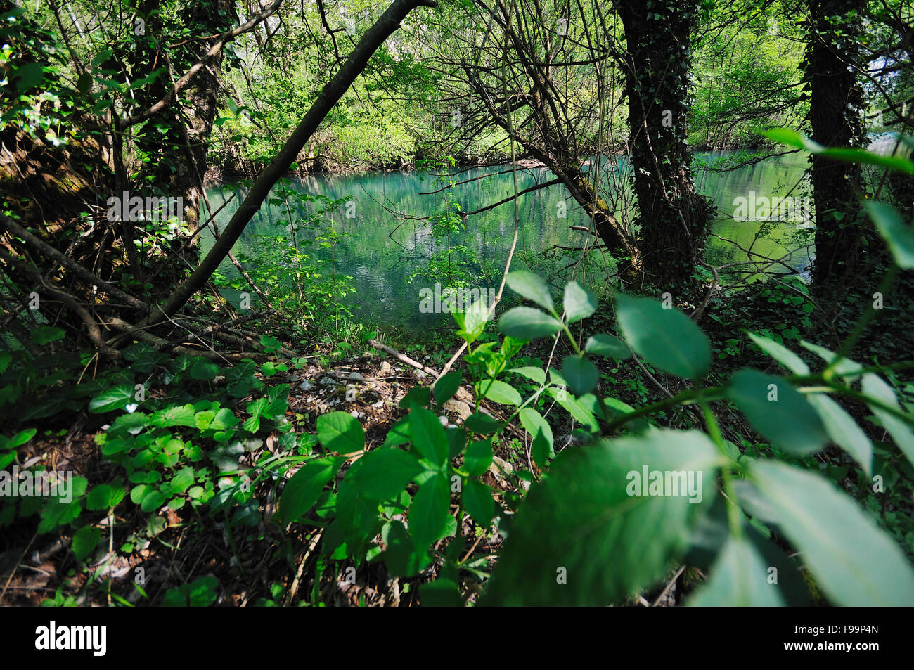 beautiful nature scene with river and waterfall at spring seasson Stock ...