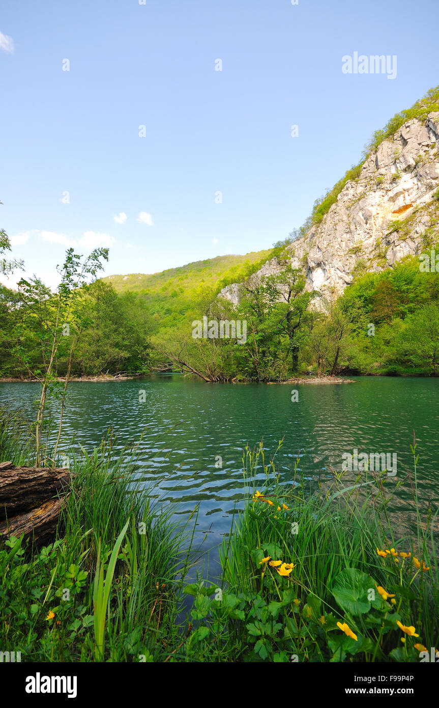 beautiful nature scene with river and waterfall at spring seasson Stock ...