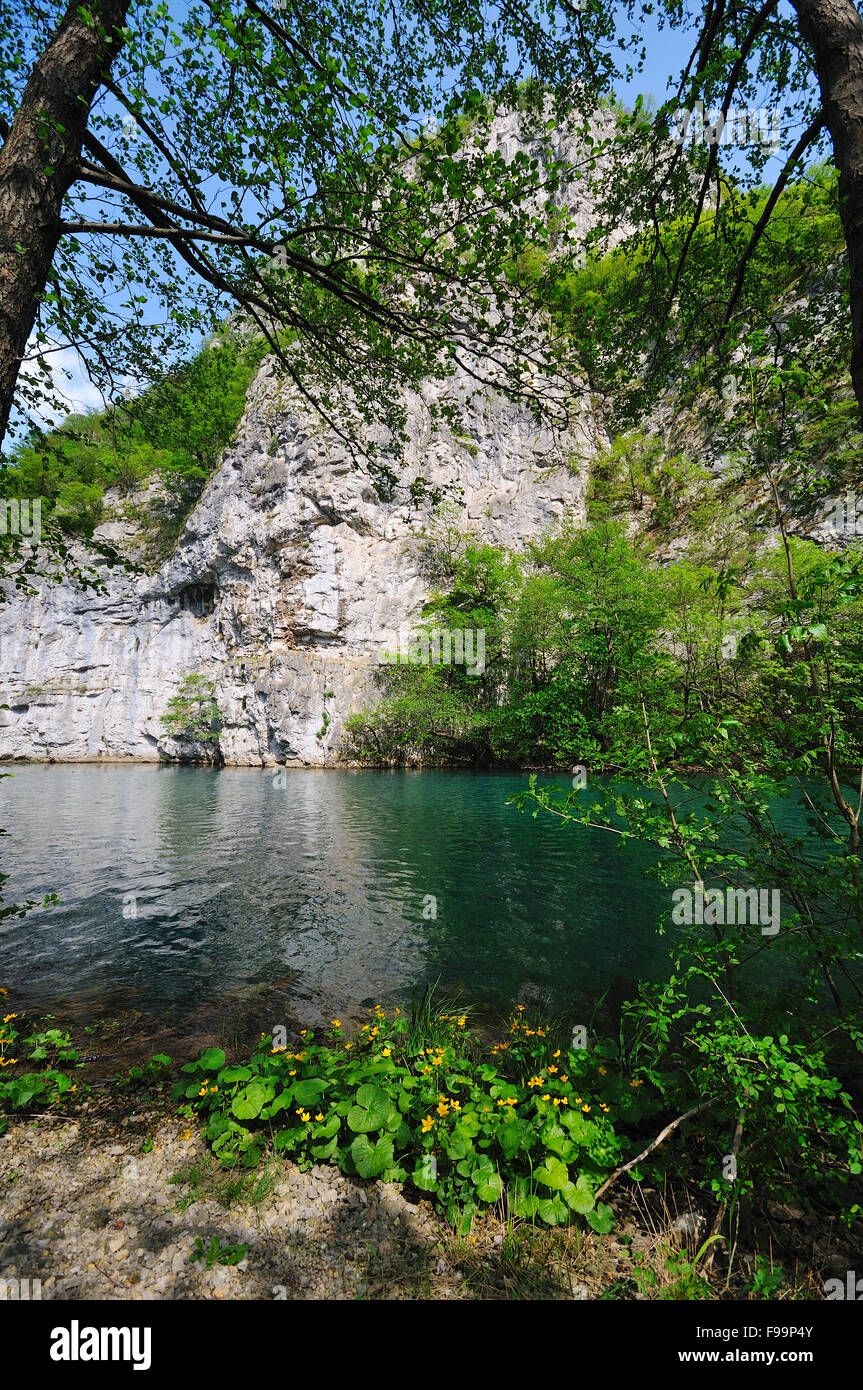 beautiful nature scene with river and waterfall at spring seasson Stock ...