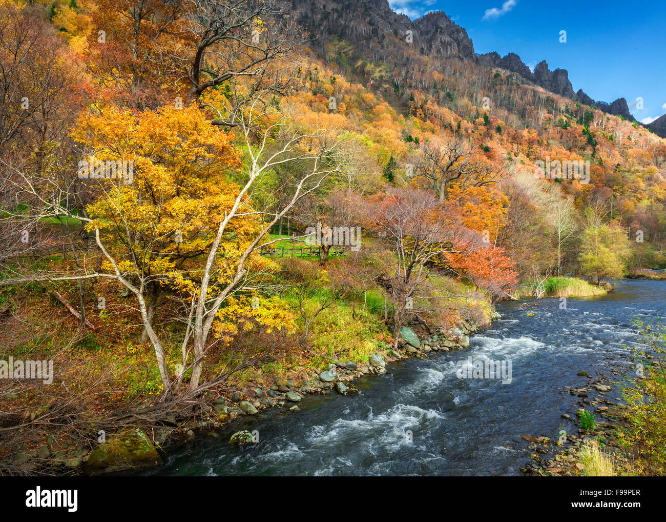 Leaf river hi-res stock photography and images - Alamy