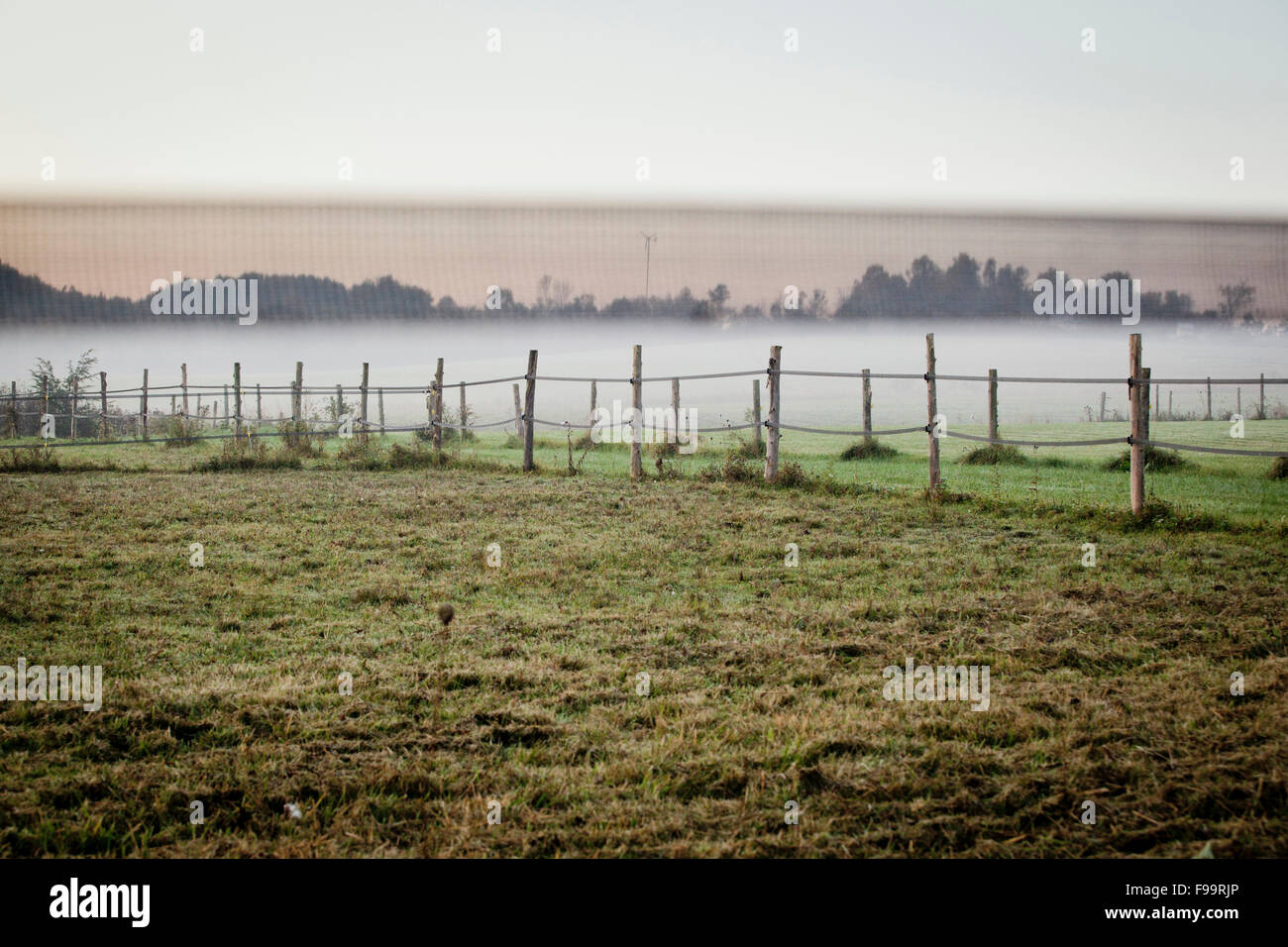 Fog and fence on farm Stock Photo - Alamy