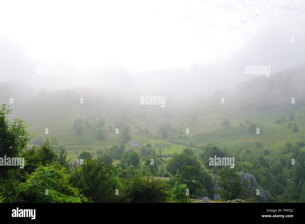 meadow landscape with fog and first morning light Stock Photo - Alamy