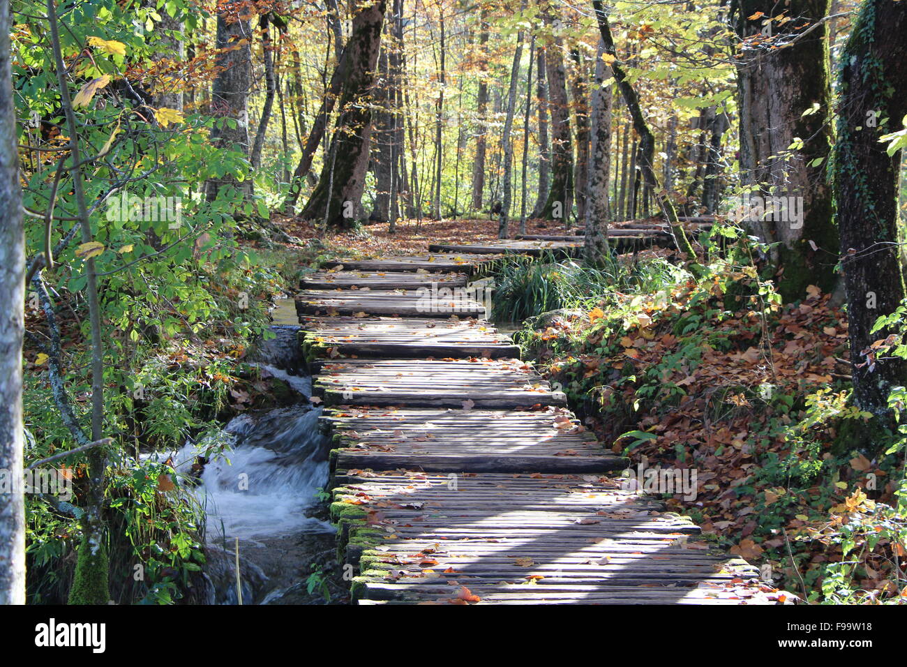 Boardwalk view hi-res stock photography and images - Alamy