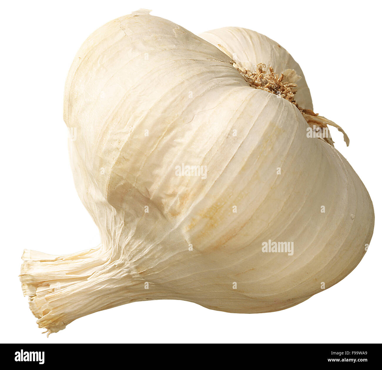Bulb of garlic Stock Photo - Alamy