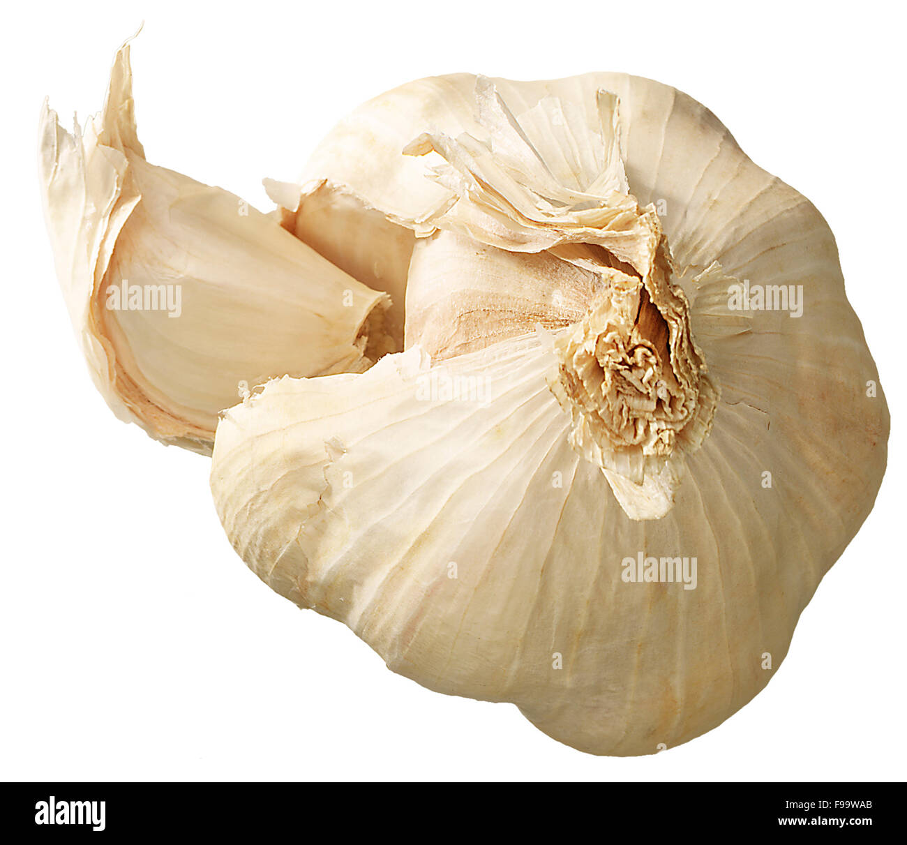 Bulb of garlic Stock Photo - Alamy