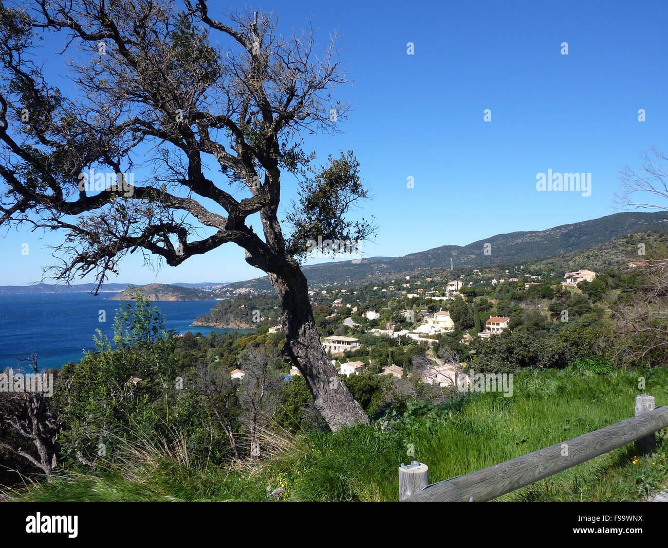 Cliff bole hi-res stock photography and images - Alamy