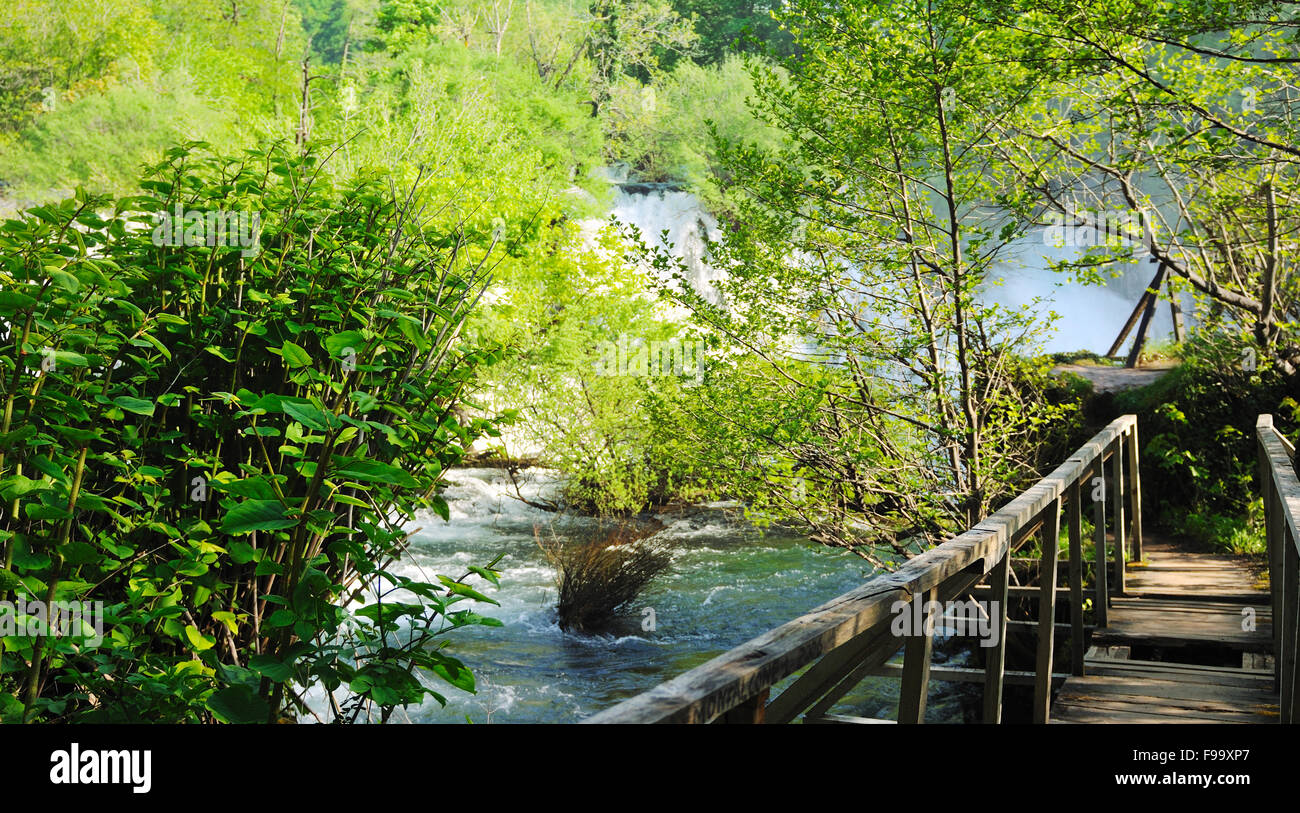 Clean background with plant hi-res stock photography and images - Alamy