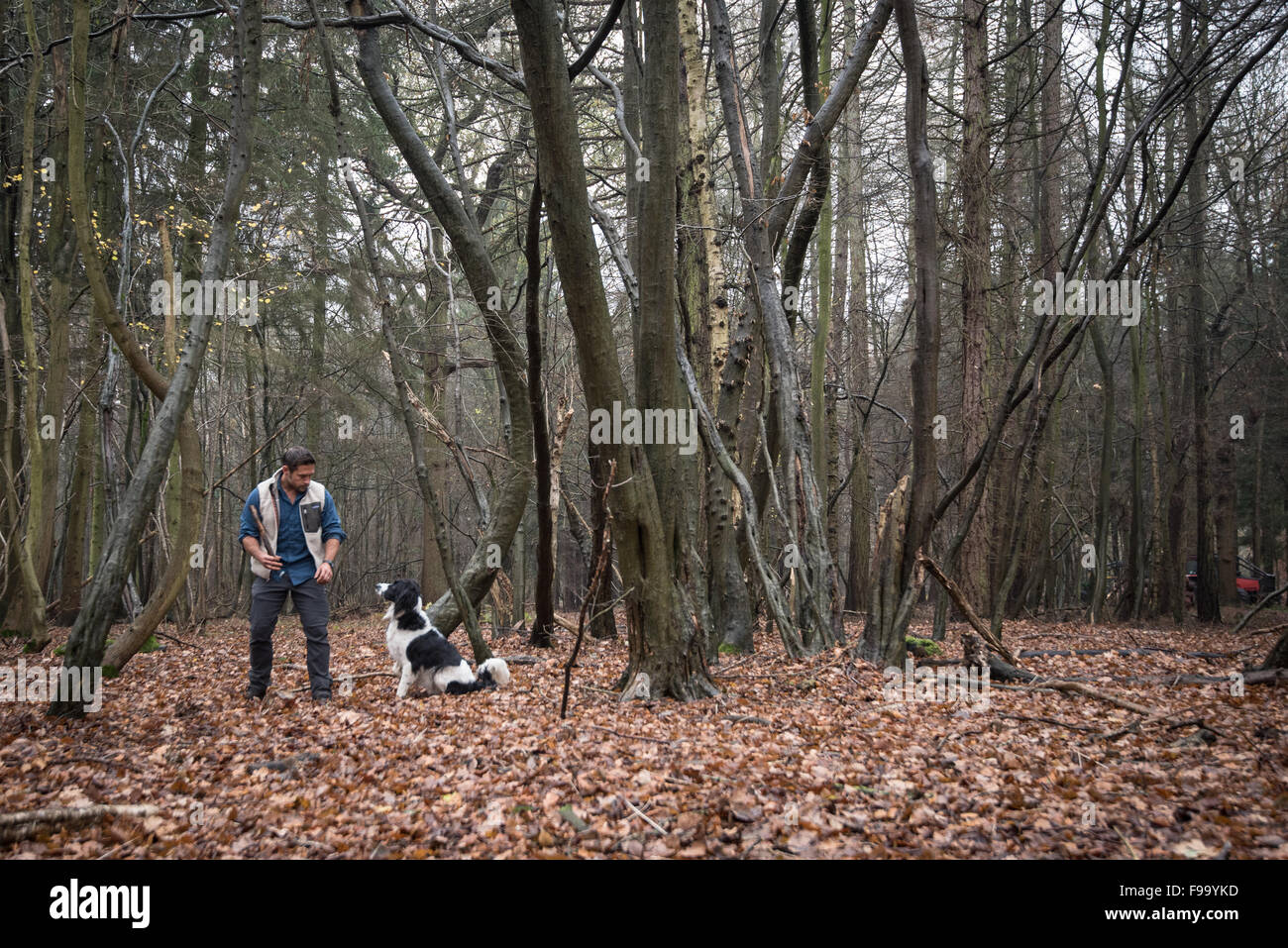 Klint janulis hi-res stock photography and images - Alamy