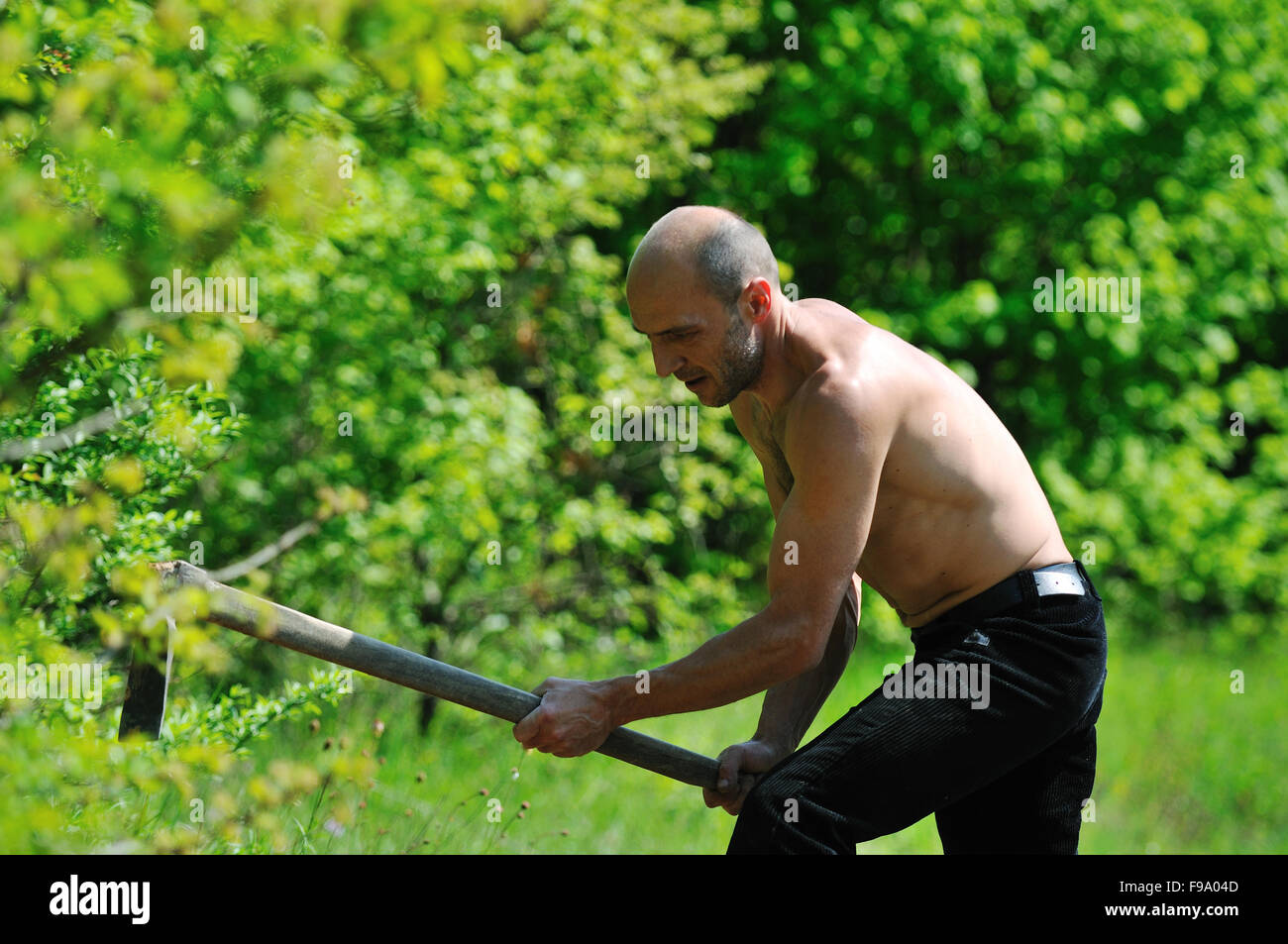 healthy good looking fit adult man outdoor working in garden Stock ...