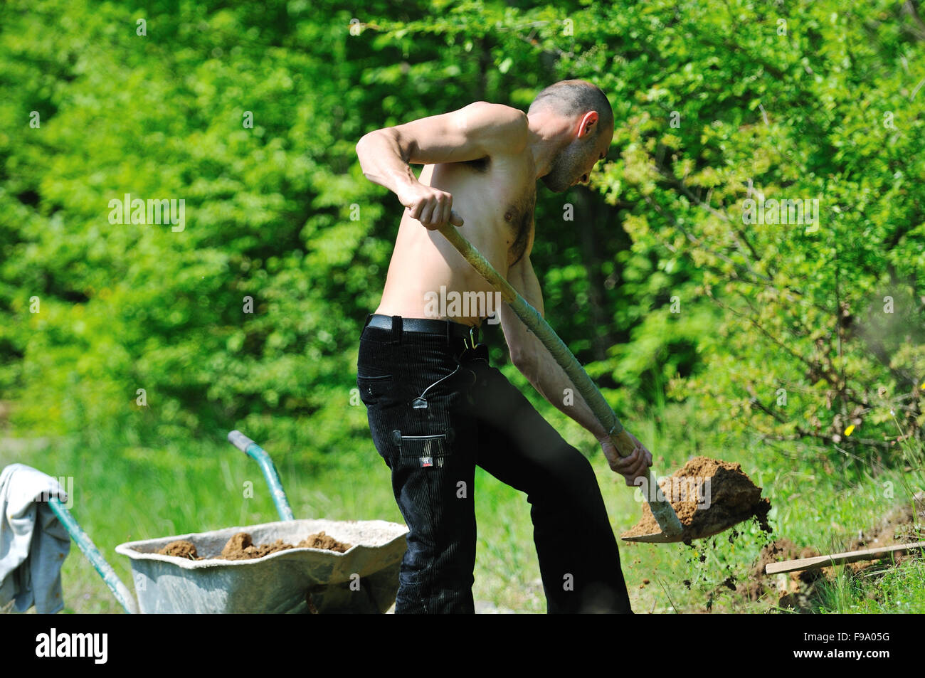 healthy good looking fit adult man outdoor working in garden Stock ...