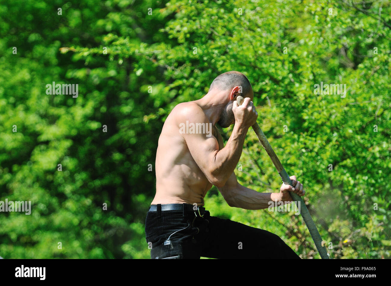 healthy good looking fit adult man outdoor working in garden Stock ...