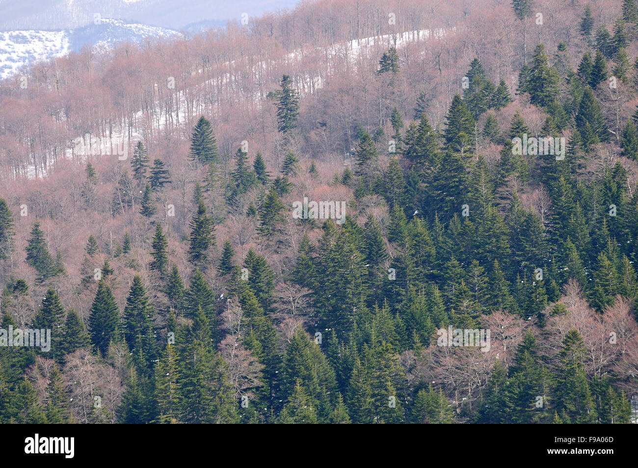 beautiful winter season landscape with ice snow and hard winds Stock ...