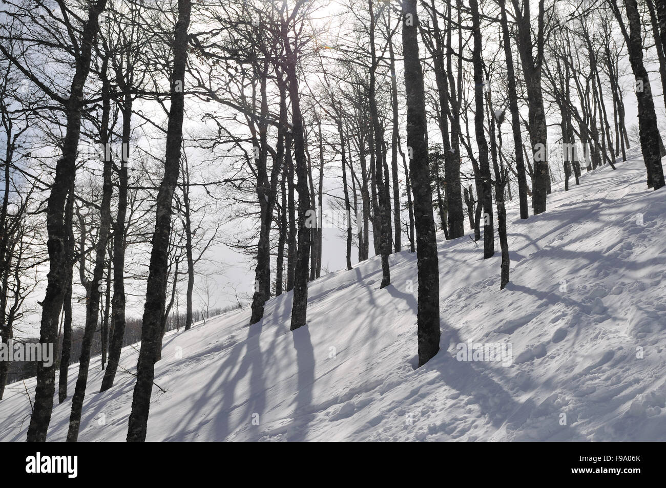 beautiful winter season landscape with ice snow and hard winds Stock ...
