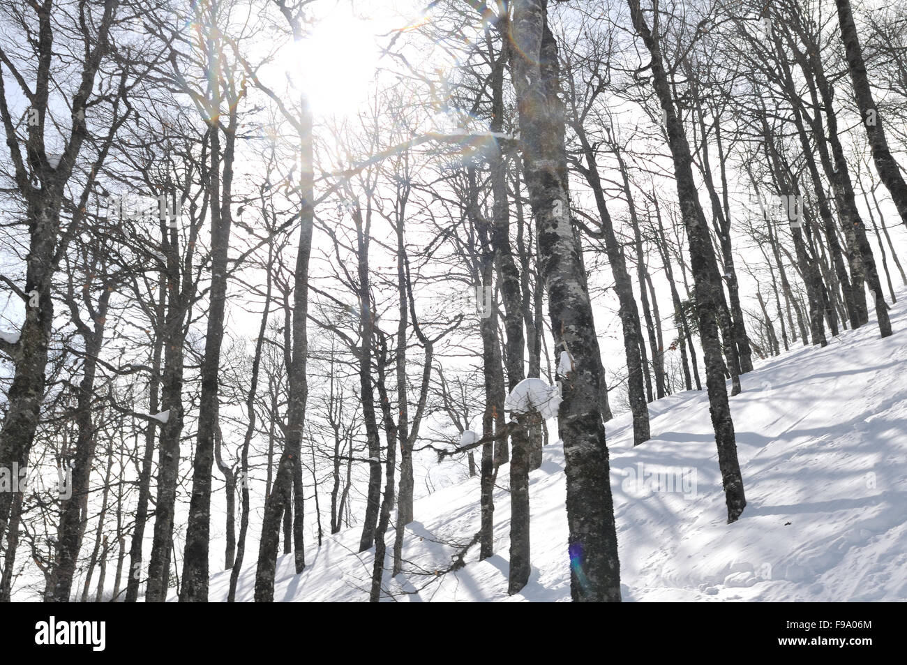 beautiful winter season landscape with ice snow and hard winds Stock ...