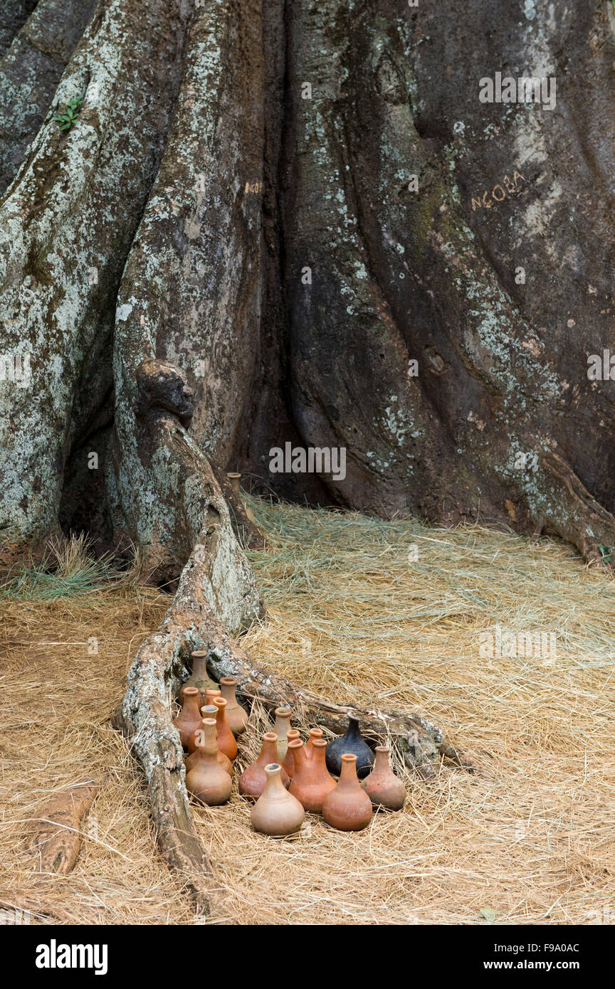 The shrine tree hi-res stock photography and images - Alamy