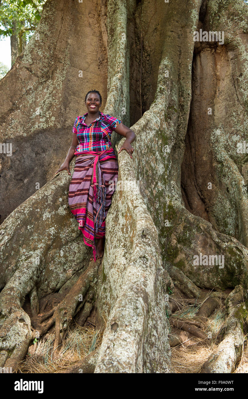 The Nakayima tree is an active shrine, Mubende Hill, Uganda Stock Photo ...