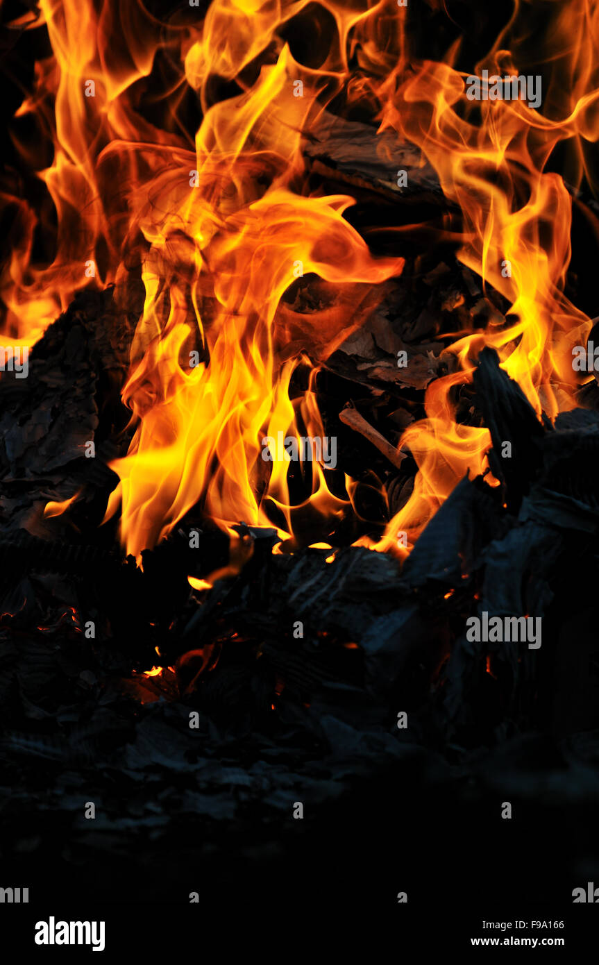 wild fire flames burn hot with black background Stock Photo - Alamy