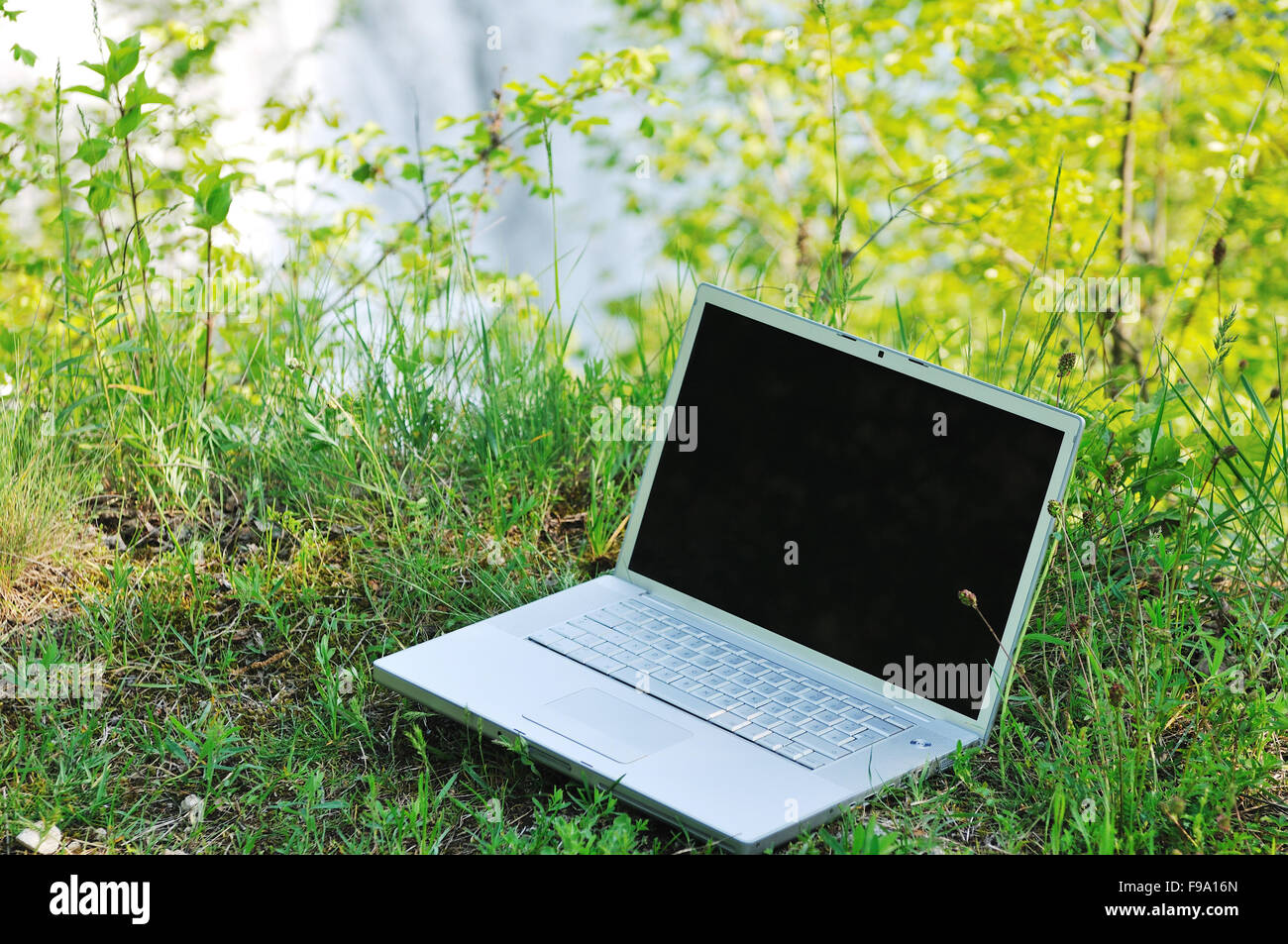 thin modern silver laptop computer in green nature outdoor Stock Photo ...
