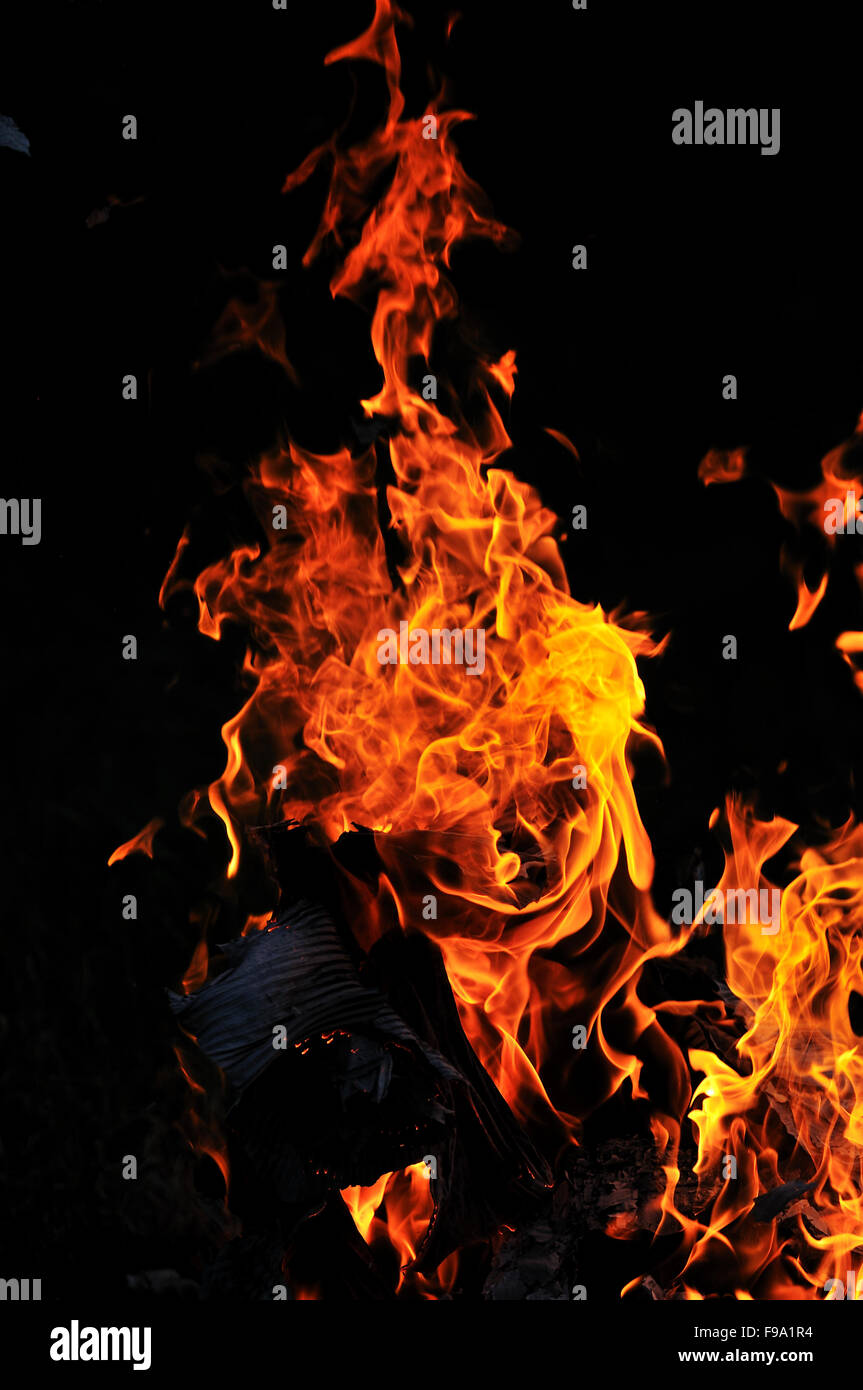 wild fire flames burn hot with black background Stock Photo - Alamy