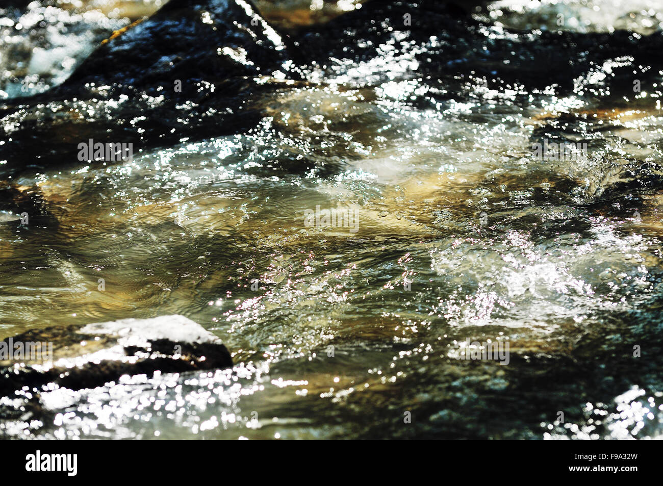 fresh water wild creek in forest at beautiful nature landscape Stock ...