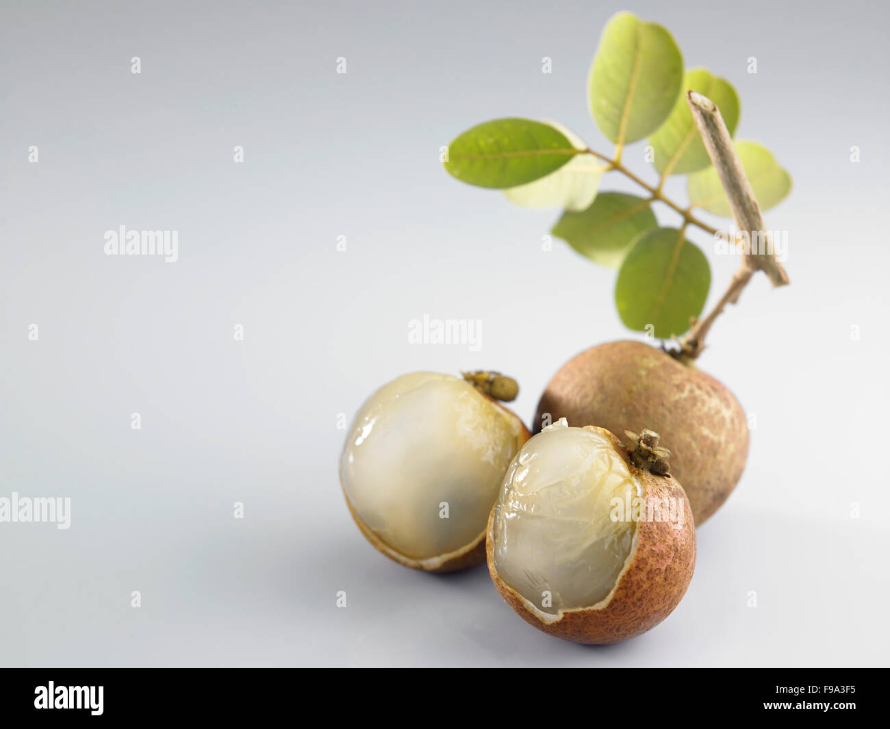 Longan, Dimocarpus longan,on the white background Stock Photo - Alamy