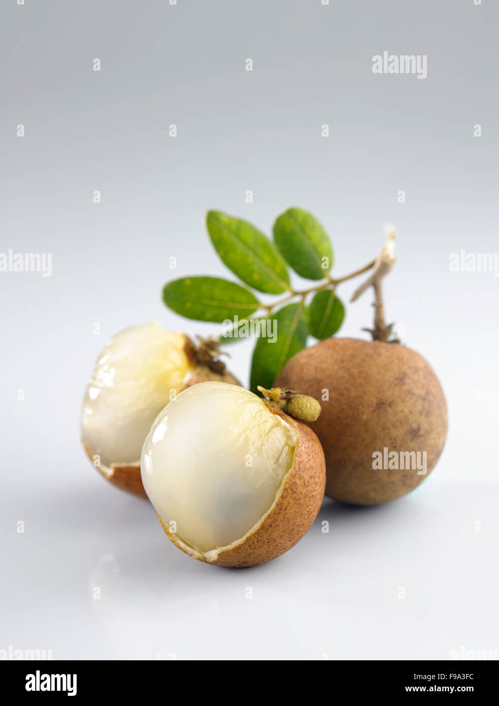 Longan, Dimocarpus longan,on the white background Stock Photo - Alamy