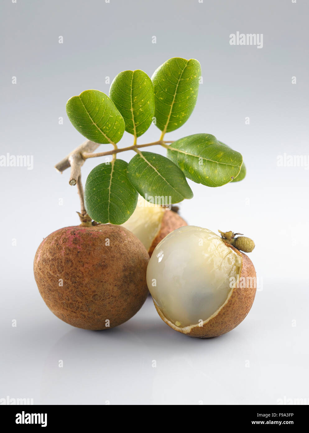 Longan, Dimocarpus longan,on the white background Stock Photo - Alamy