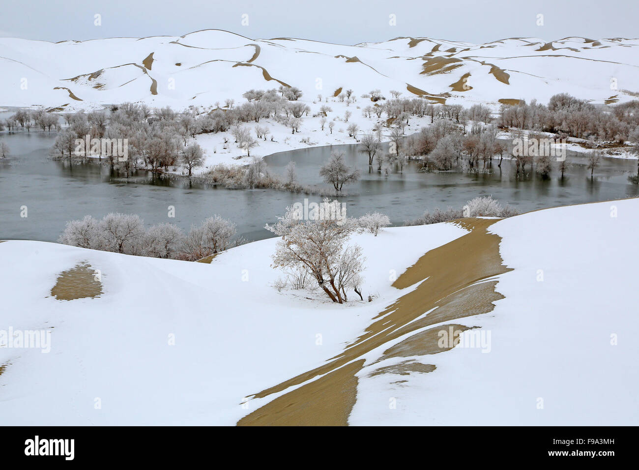 Yuli. 14th Dec, 2015. Photo taken on Dec. 14, 2015 shows the snow ...