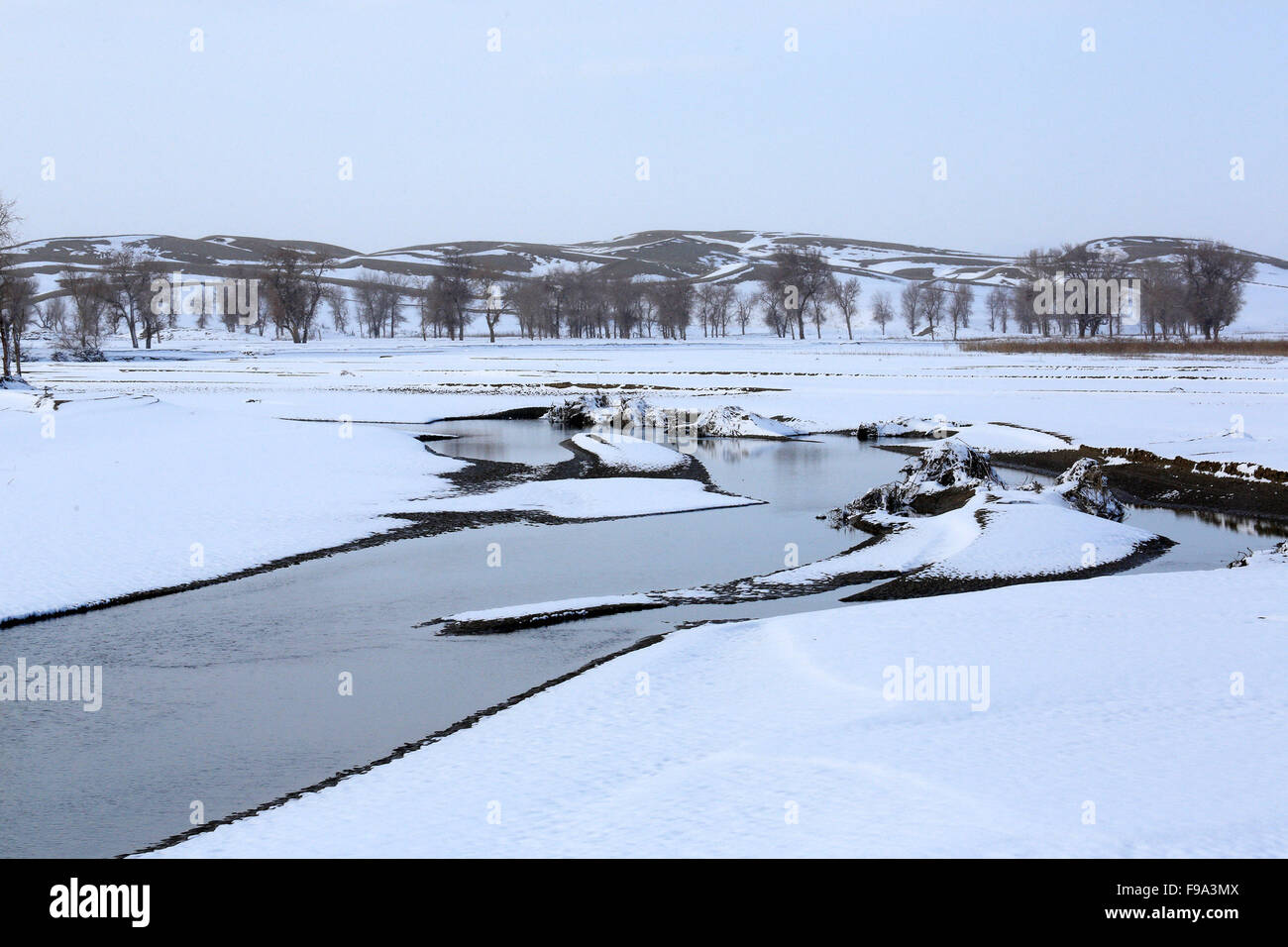 Yuli. 12th Dec, 2015. Photo taken on Dec. 12, 2015 shows the snow ...