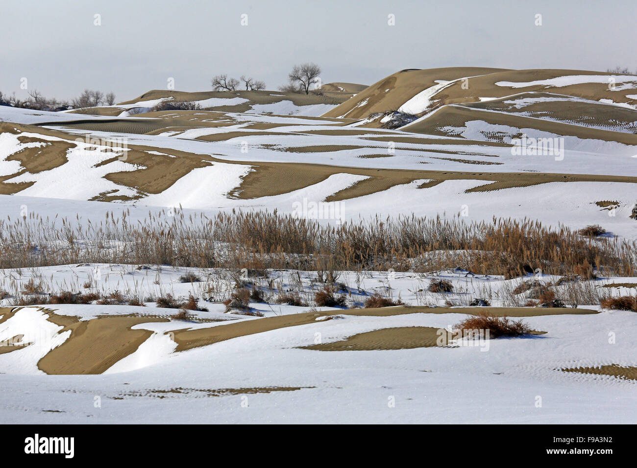 Yuli. 13th Dec, 2015. Photo taken on Dec. 13, 2015 shows the snow ...