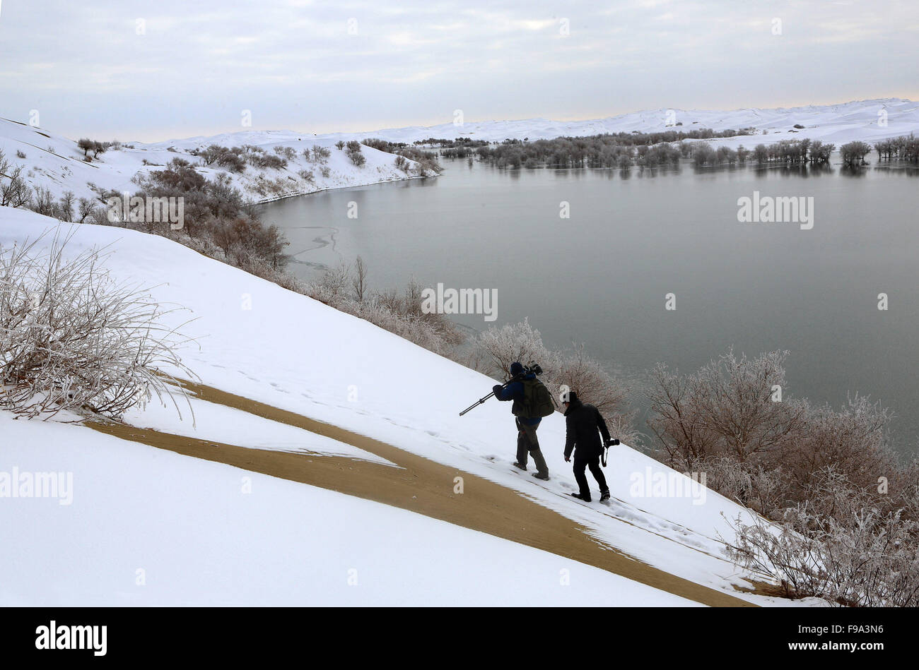 Yuli. 14th Dec, 2015. Photo taken on Dec. 14, 2015 shows the snow ...