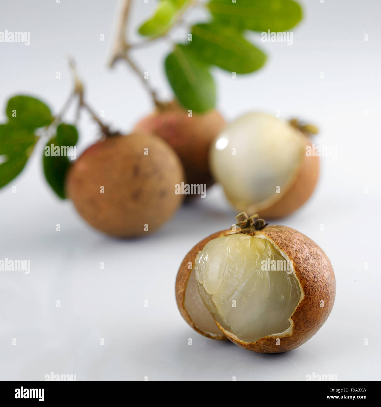 Longan, Dimocarpus longan,on the white background Stock Photo - Alamy