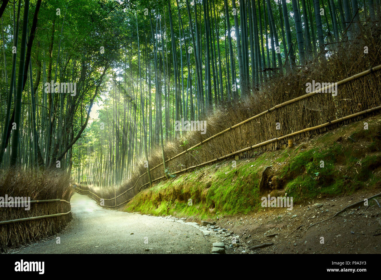 Bamboo street light hi-res stock photography and images - Alamy