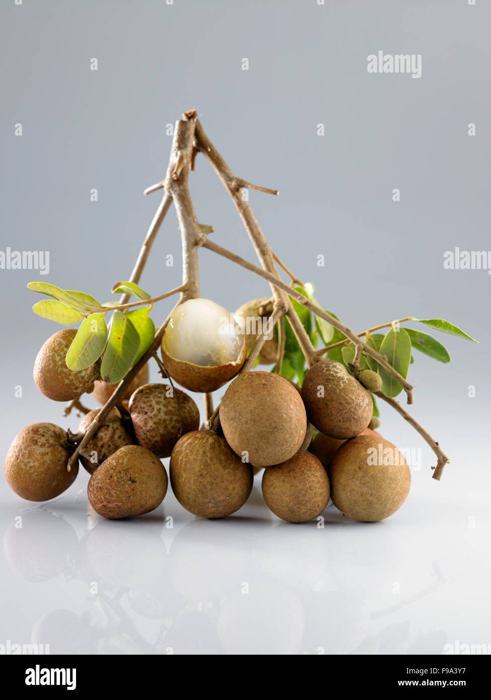 Longan, Dimocarpus longan,on the white background Stock Photo - Alamy