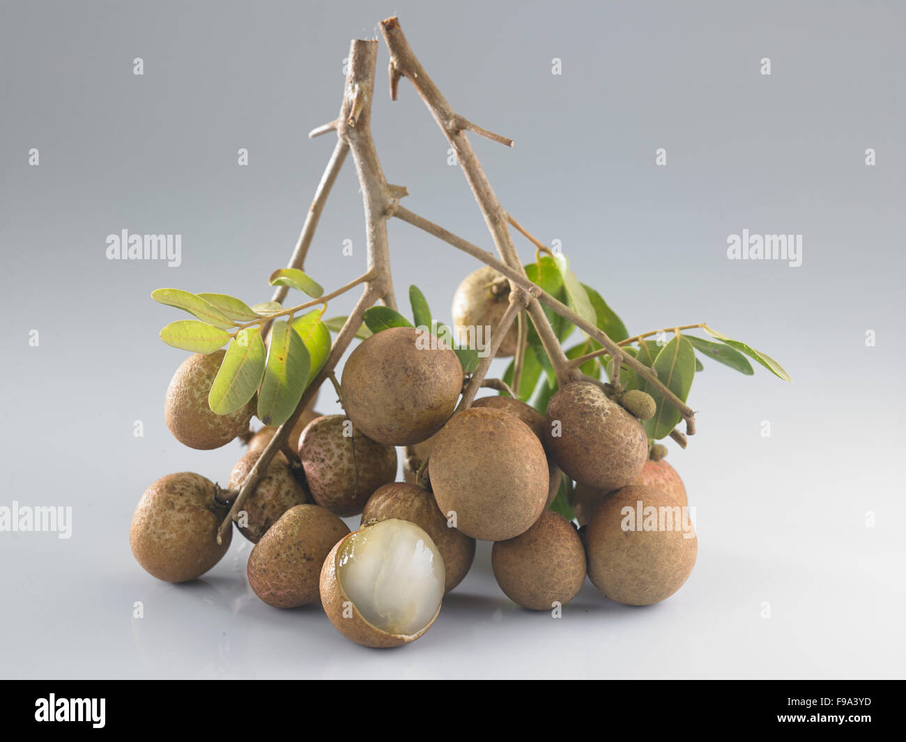 Longan, Dimocarpus longan,on the white background Stock Photo - Alamy