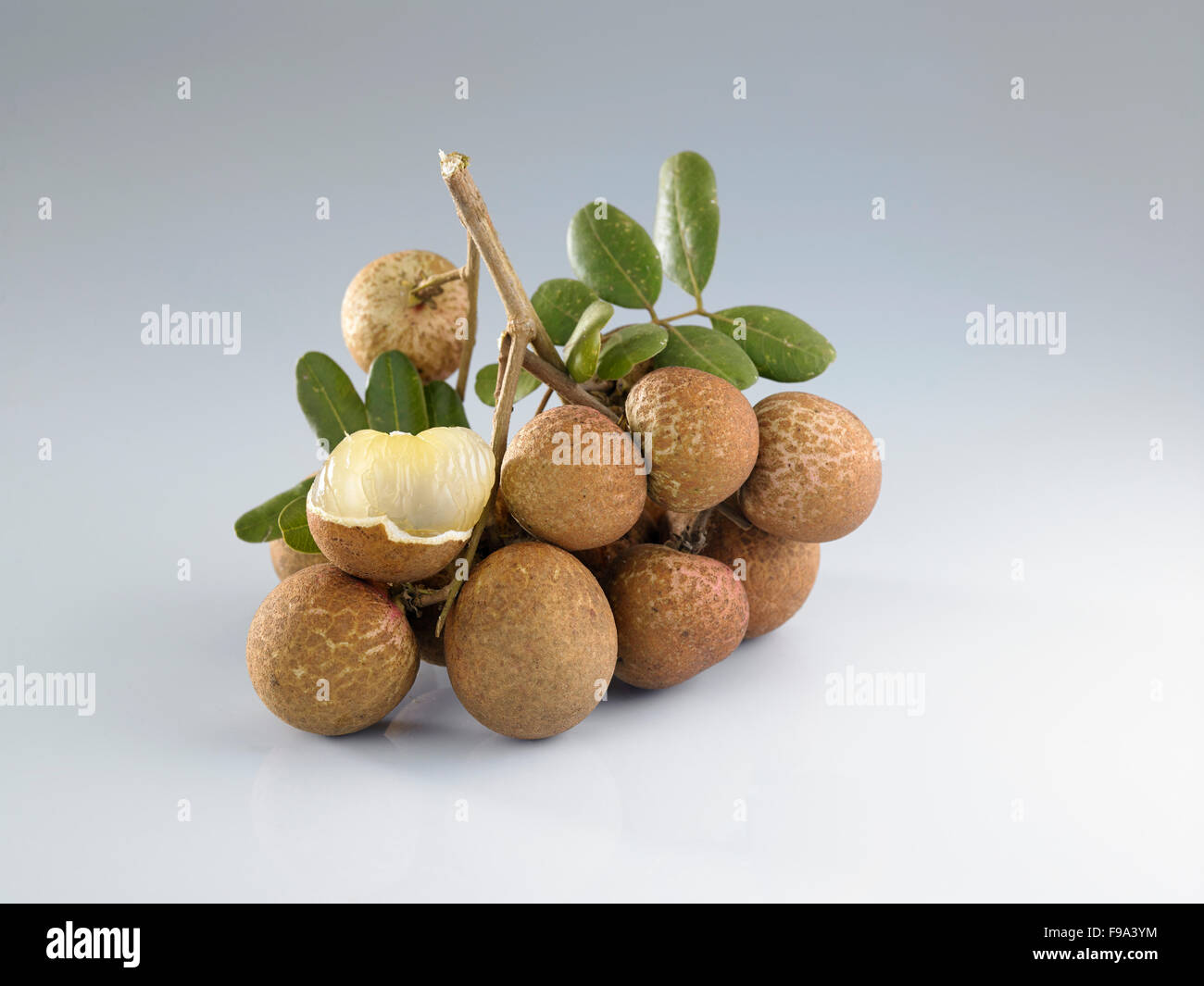 Longan, Dimocarpus longan,on the white background Stock Photo - Alamy