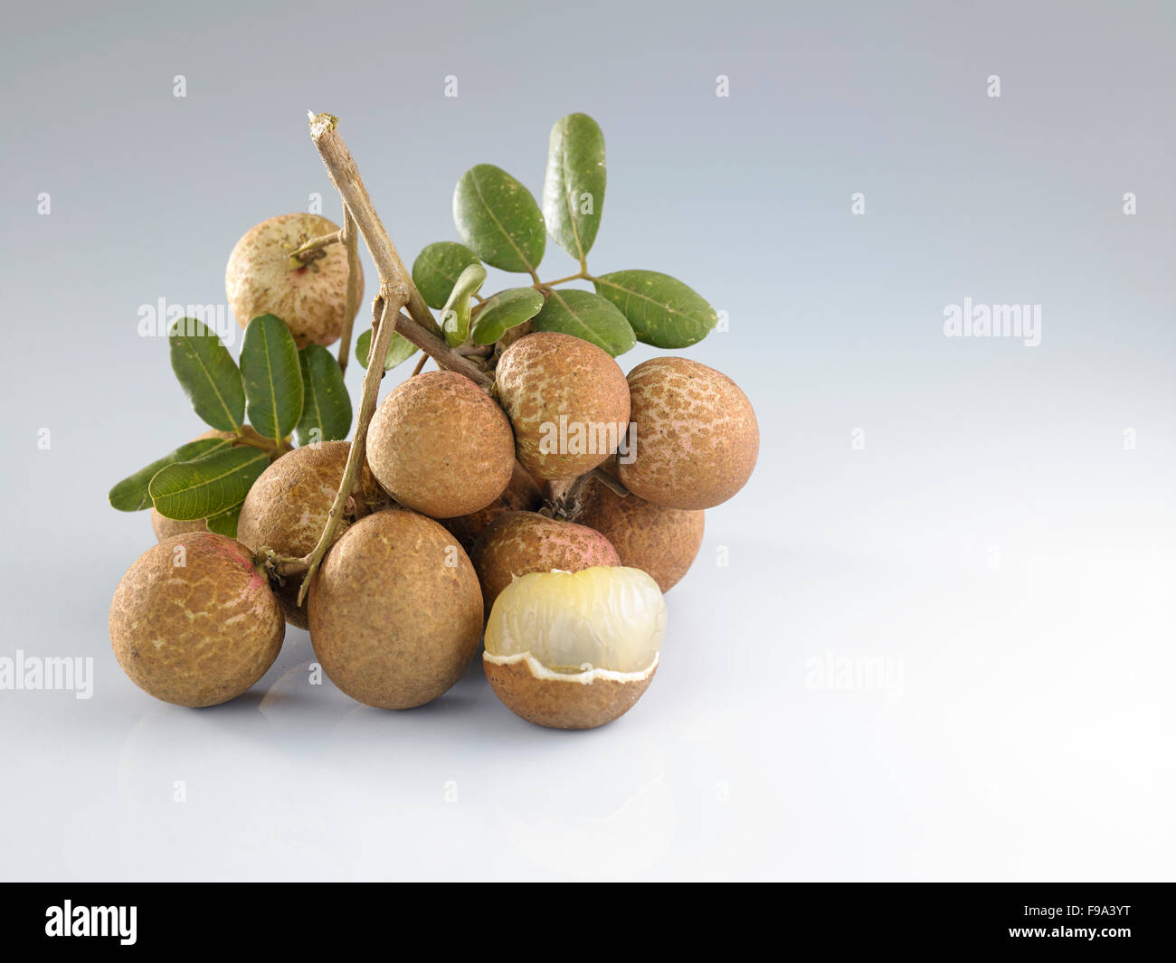 Longan, Dimocarpus longan,on the white background Stock Photo - Alamy