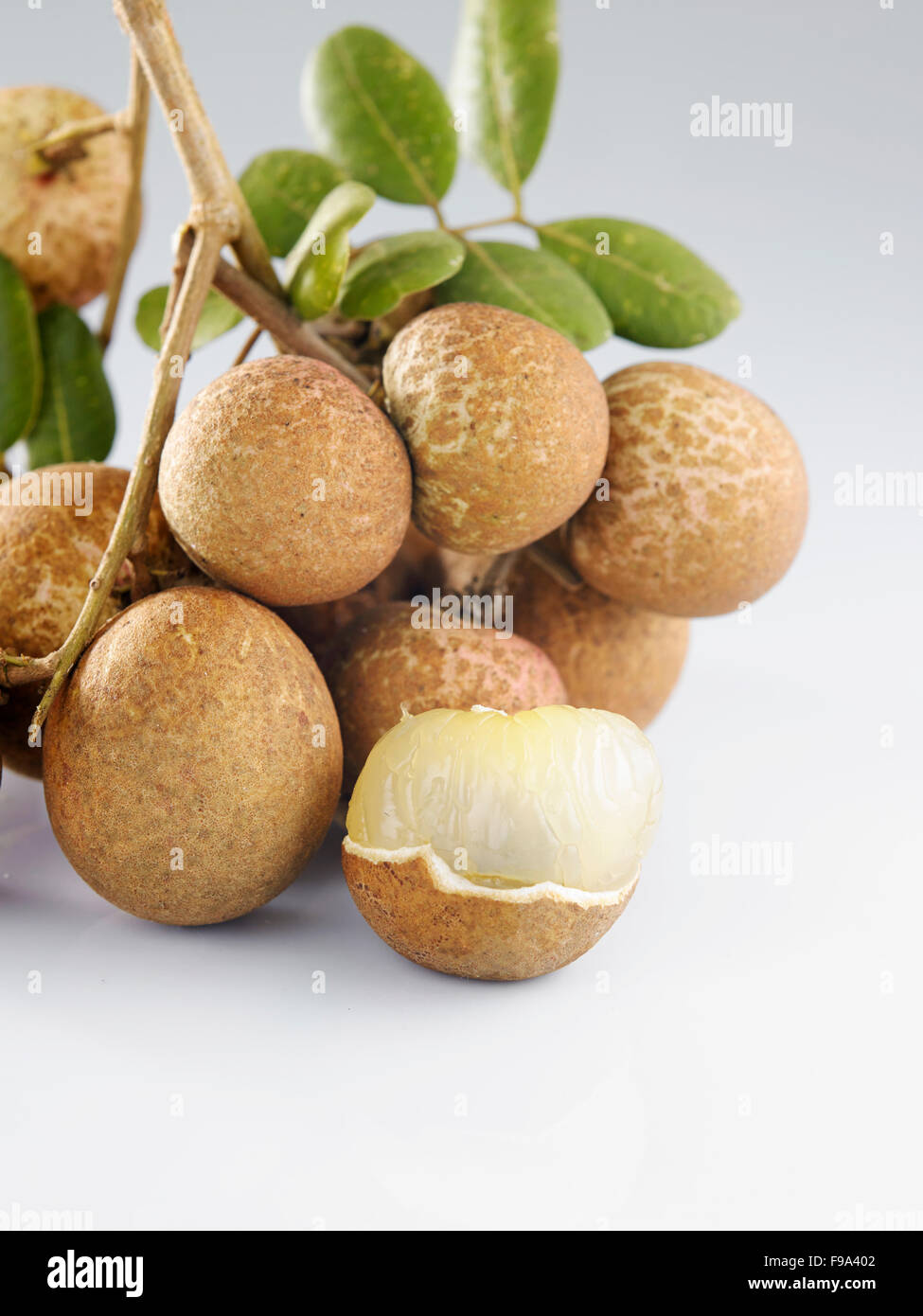 Longan, Dimocarpus longan,on the white background Stock Photo - Alamy