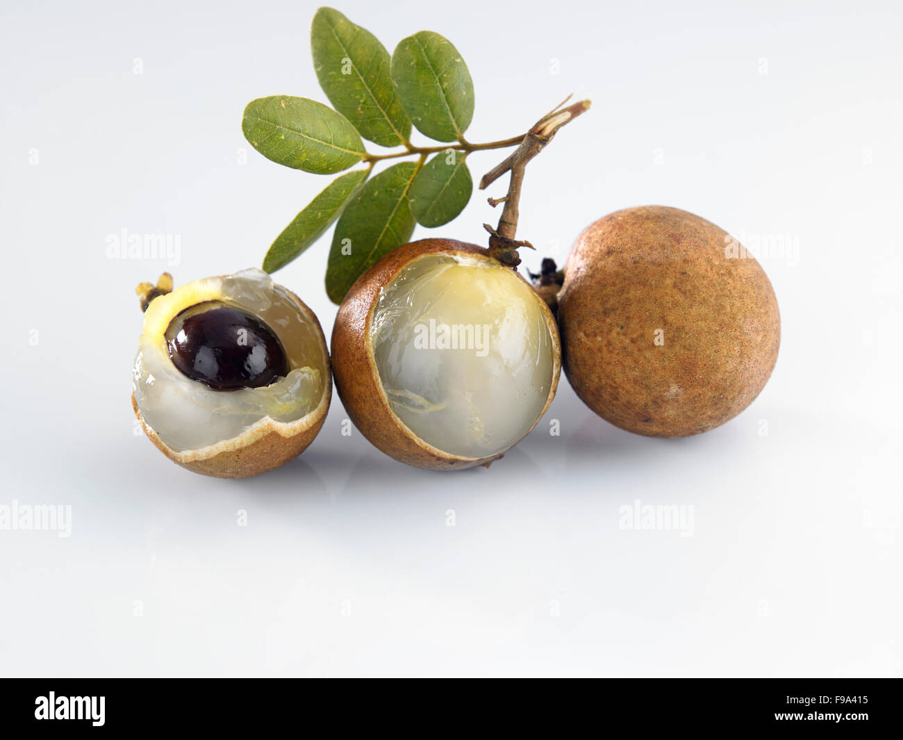 Longan, Dimocarpus longan,on the white background Stock Photo - Alamy