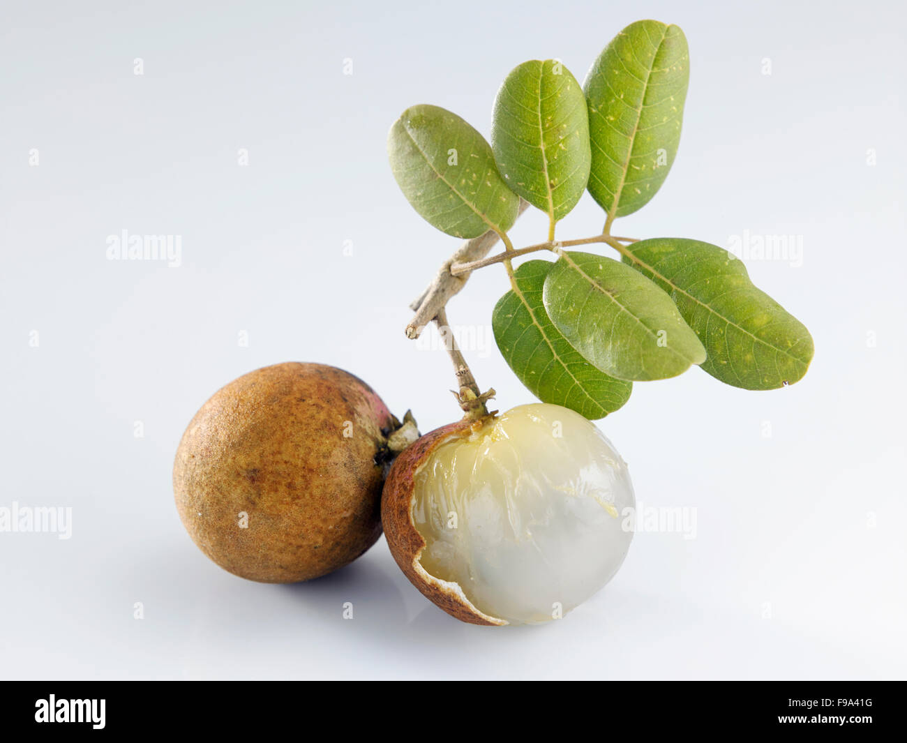 Longan, Dimocarpus longan,on the white background Stock Photo - Alamy