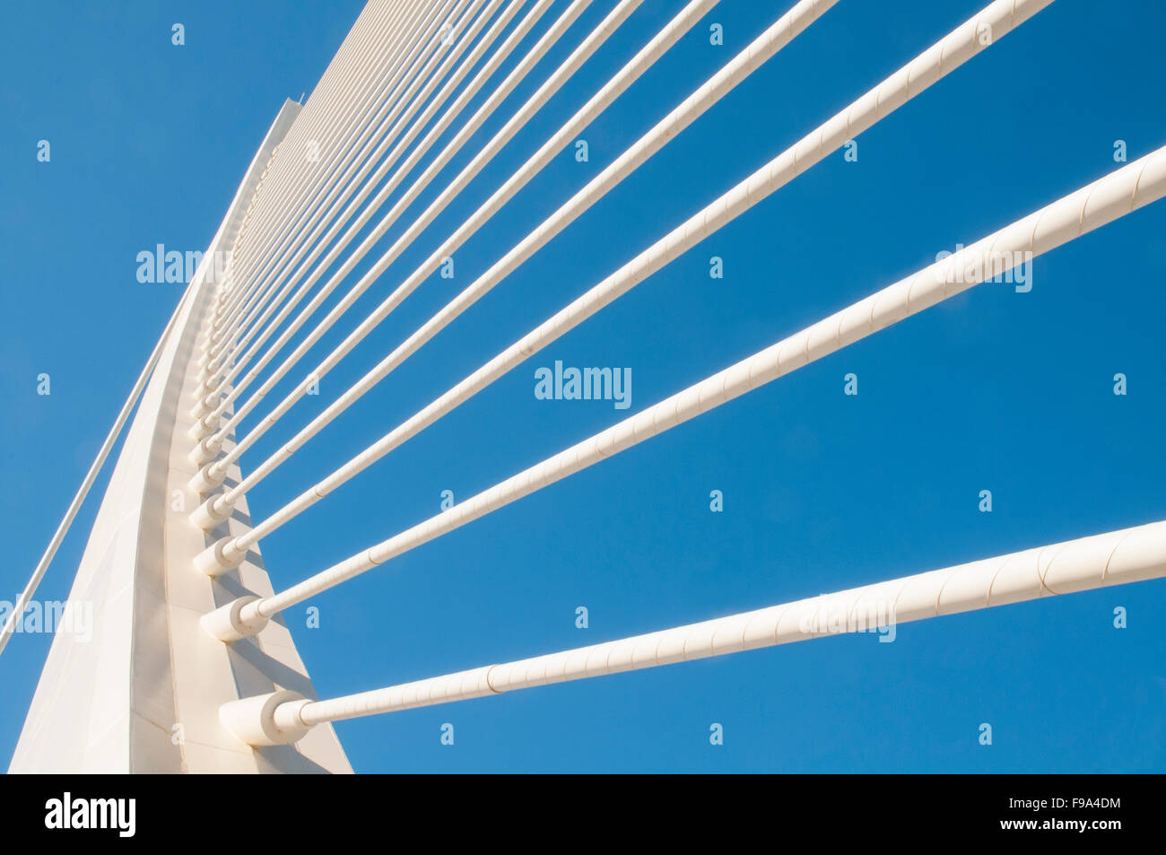 L'Assut d'Or bridge, by Santiago Calatrava. City of Arts and Sciences ...