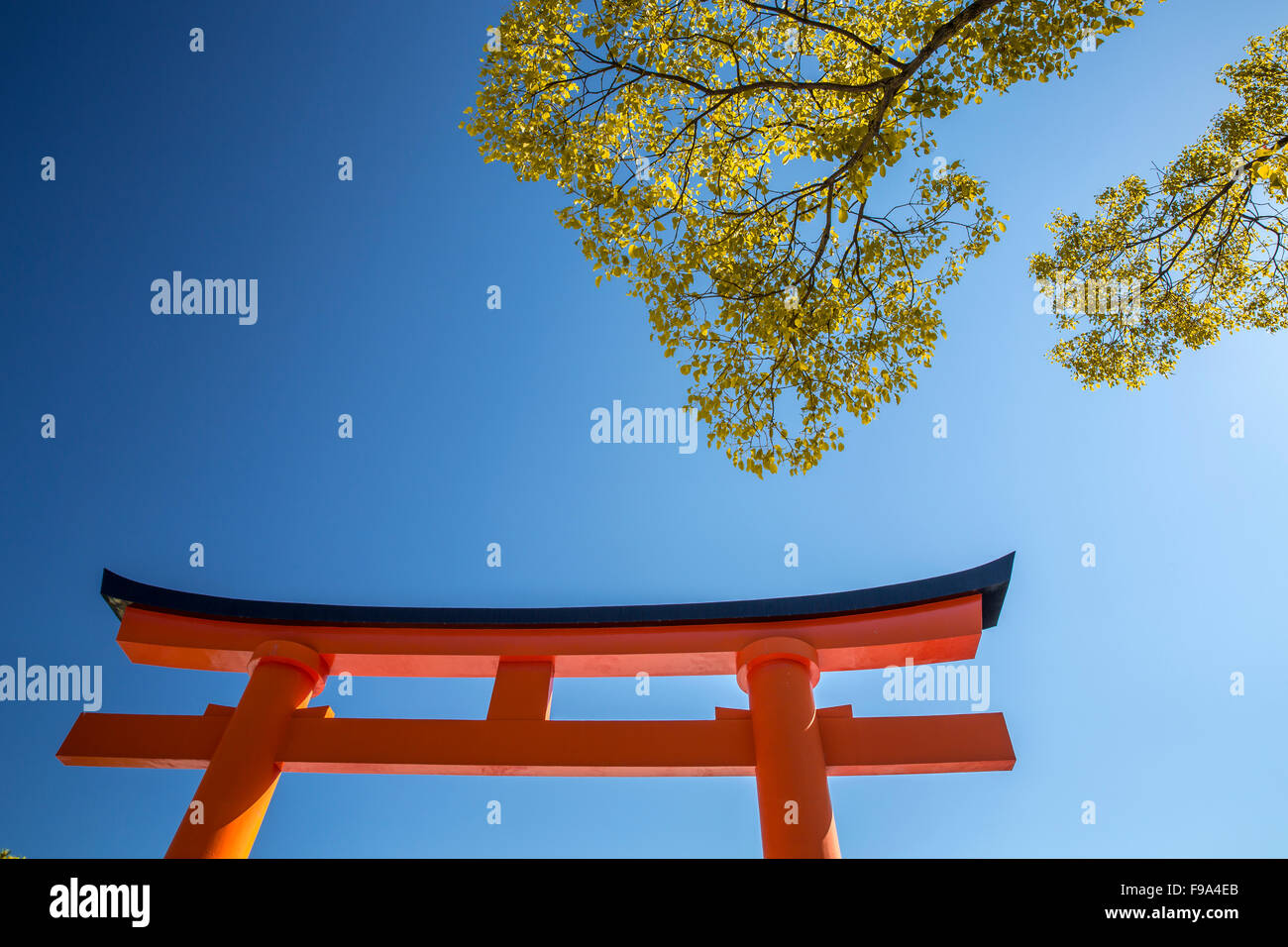 Japanese gate hi-res stock photography and images - Alamy